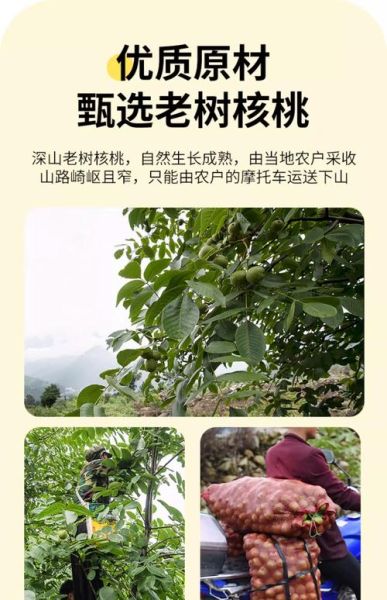 鲜核桃皮的功效与作用_鲜核桃皮怎么使用-第1张图片-山城妙识