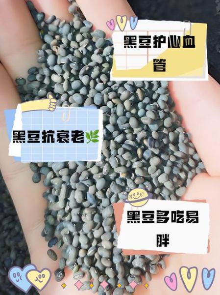 多囊吃黑豆害惨了_多囊卵巢能吃黑豆吗-第2张图片-山城妙识