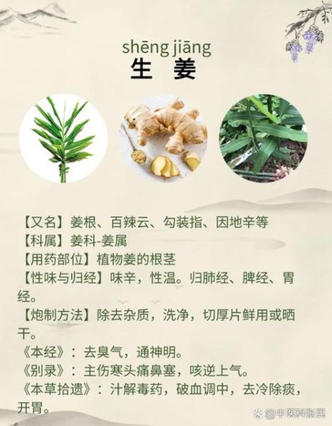 生姜治前列腺炎有效吗_如何用生姜缓解前列腺不适-第1张图片-山城妙识 生姜治前列腺炎有效吗_如何用生姜缓解前列腺不适-第1张图片-山城妙识