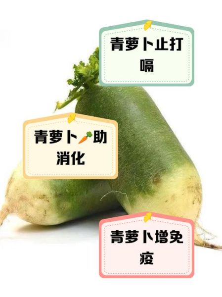 青萝卜煮水喝有什么功效_青萝卜水的禁忌人群-第1张图片-山城妙识 青萝卜煮水喝有什么功效_青萝卜水的禁忌人群-第1张图片-山城妙识