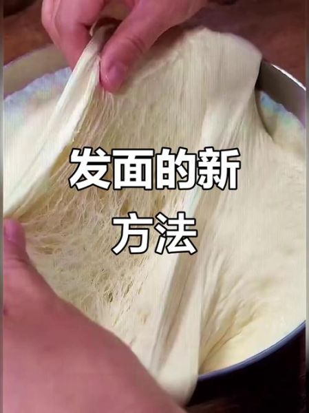 发面包子怎么做_发面包子蒸多久才松软-第2张图片-山城妙识