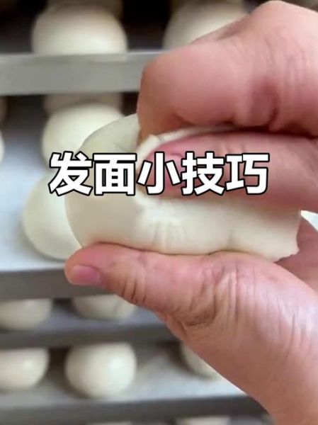 发面包子怎么做_发面包子蒸多久才松软-第3张图片-山城妙识