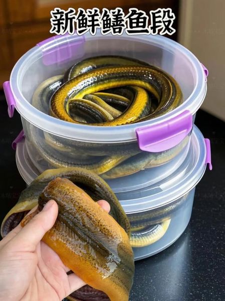 鳝鱼怎么杀_鳝鱼宰杀步骤-第3张图片-山城妙识