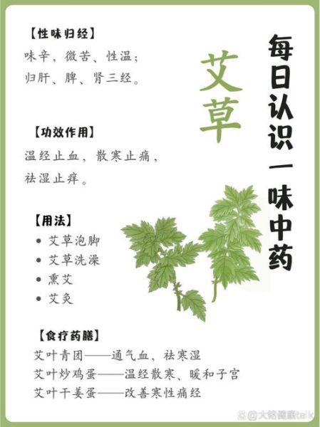 艾草的功效与作用_艾草禁忌有哪些-第3张图片-山城妙识