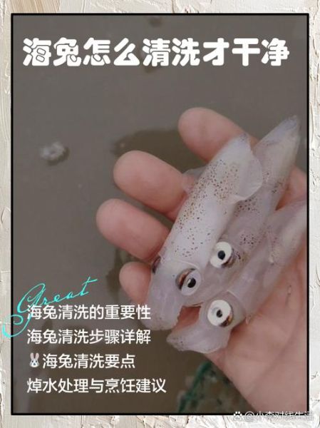 干海兔怎么清洗_干海兔泡发多久-第1张图片-山城妙识 干海兔怎么清洗_干海兔泡发多久-第1张图片-山城妙识