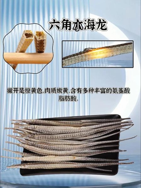 六角海龙的功效与作用_六角海龙怎么吃效果最好-第1张图片-山城妙识 六角海龙的功效与作用_六角海龙怎么吃效果最好-第1张图片-山城妙识