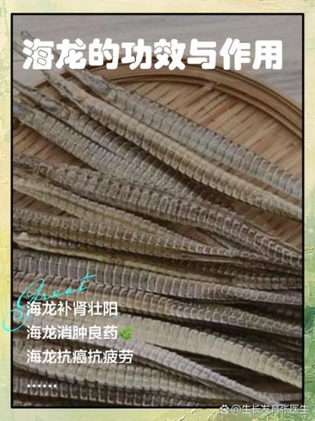 六角海龙的功效与作用_六角海龙怎么吃效果最好-第2张图片-山城妙识 六角海龙的功效与作用_六角海龙怎么吃效果最好-第2张图片-山城妙识