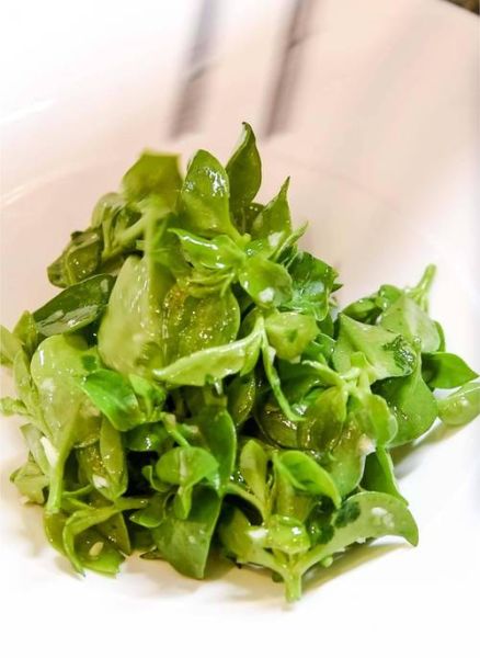 穿心莲怎么吃_穿心莲做法大全-第2张图片-山城妙识 穿心莲怎么吃_穿心莲做法大全-第2张图片-山城妙识