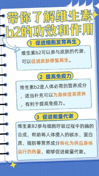 维生素b2的作用及功能_维生素b2的副作用有哪些-第3张图片-山城妙识 维生素b2的作用及功能_维生素b2的副作用有哪些-第3张图片-山城妙识