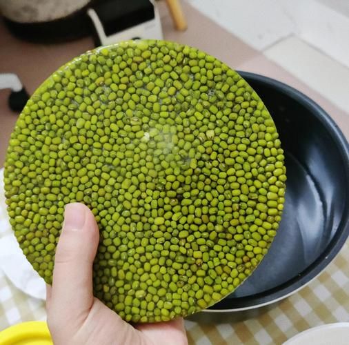 绿豆汤怎么煮是绿色的_绿豆汤变绿秘诀-第1张图片-山城妙识 绿豆汤怎么煮是绿色的_绿豆汤变绿秘诀-第1张图片-山城妙识