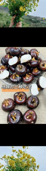 煮荸荠水开之后多久可以好_荸荠煮多久才熟-第2张图片-山城妙识 煮荸荠水开之后多久可以好_荸荠煮多久才熟-第2张图片-山城妙识