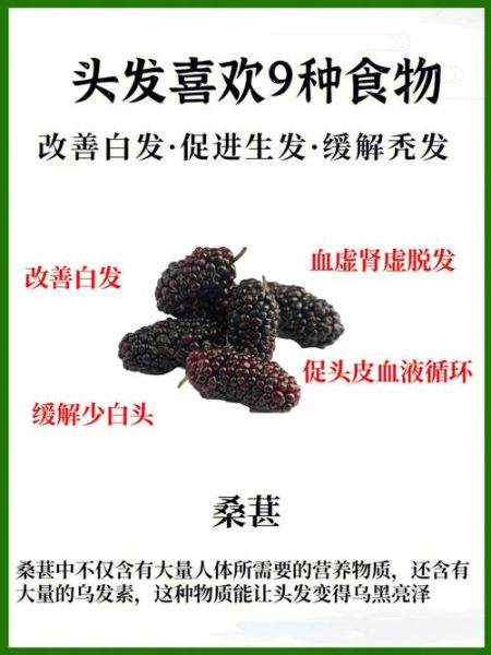 吃什么不掉头发_脱发吃什么食物好-第1张图片-山城妙识 吃什么不掉头发_脱发吃什么食物好-第1张图片-山城妙识