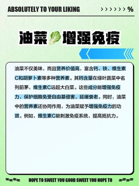 油菜的营养价值_油菜的功效与作用-第2张图片-山城妙识 油菜的营养价值_油菜的功效与作用-第2张图片-山城妙识