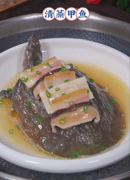 家常甲鱼怎么做好吃_甲鱼最简单的做法-第1张图片-山城妙识