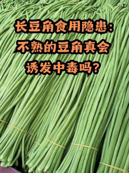 豇豆没熟透吃了会中毒吗_豇豆半生不熟能吃吗-第3张图片-山城妙识