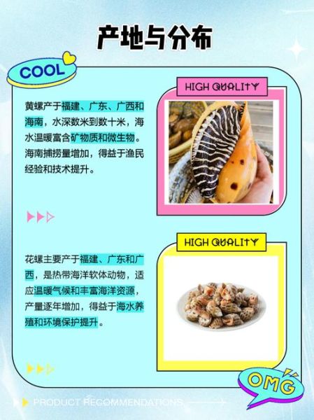 黄螺和花螺的区别_哪个更好吃-第1张图片-山城妙识