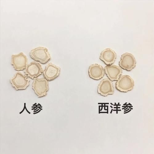 野人参图片真假鉴别_野人参和种植参区别-第1张图片-山城妙识 野人参图片真假鉴别_野人参和种植参区别-第1张图片-山城妙识