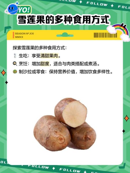 雪莲子怎么吃最好_雪莲子功效与作用禁忌-第1张图片-山城妙识 雪莲子怎么吃最好_雪莲子功效与作用禁忌-第1张图片-山城妙识