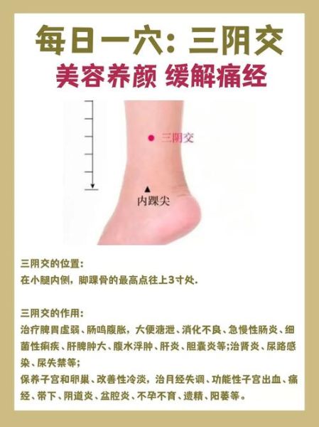 痛经按摩哪个部位_痛经按摩哪里最有效-第1张图片-山城妙识 痛经按摩哪个部位_痛经按摩哪里最有效-第1张图片-山城妙识