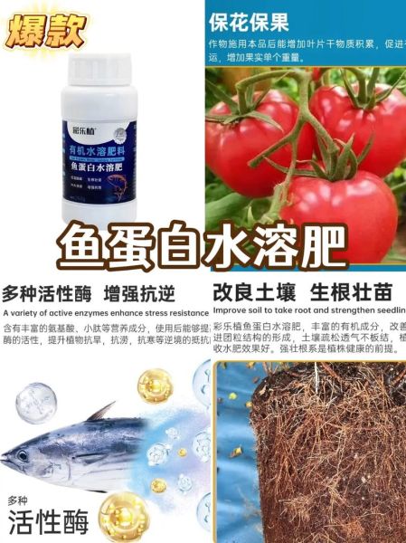 鱼蛋白水溶肥怎么用_鱼蛋白水溶肥效果好吗-第2张图片-山城妙识 鱼蛋白水溶肥怎么用_鱼蛋白水溶肥效果好吗-第2张图片-山城妙识