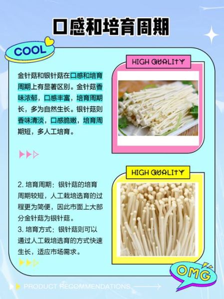 银针菇怎么挑选_银针菇和金针菇区别-第1张图片-山城妙识 银针菇怎么挑选_银针菇和金针菇区别-第1张图片-山城妙识