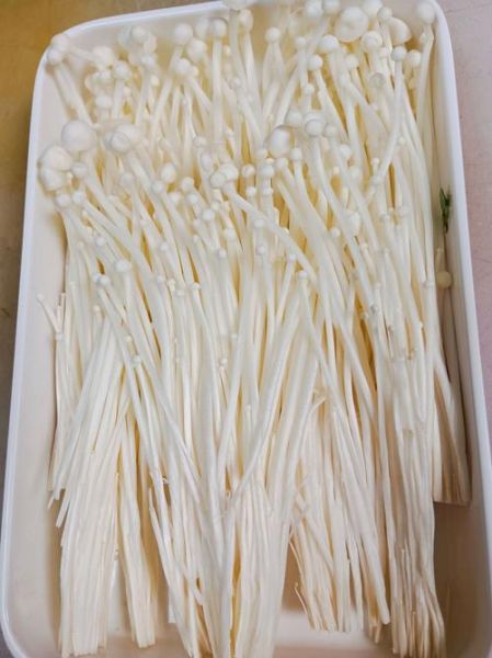 银针菇怎么挑选_银针菇和金针菇区别-第3张图片-山城妙识 银针菇怎么挑选_银针菇和金针菇区别-第3张图片-山城妙识