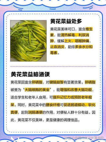黄花菜有什么功效_孕妇可以吃黄花菜吗-第3张图片-山城妙识 黄花菜有什么功效_孕妇可以吃黄花菜吗-第3张图片-山城妙识