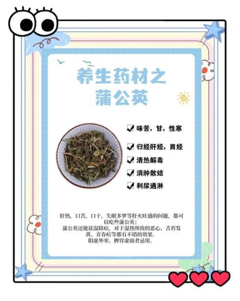 蒲公英治什么病效果最好_蒲公英能治哪些病-第1张图片-山城妙识 蒲公英治什么病效果最好_蒲公英能治哪些病-第1张图片-山城妙识