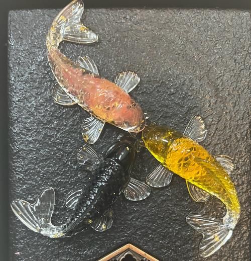 水晶鱼图片有什么寓意_水晶鱼图片怎么选-第2张图片-山城妙识