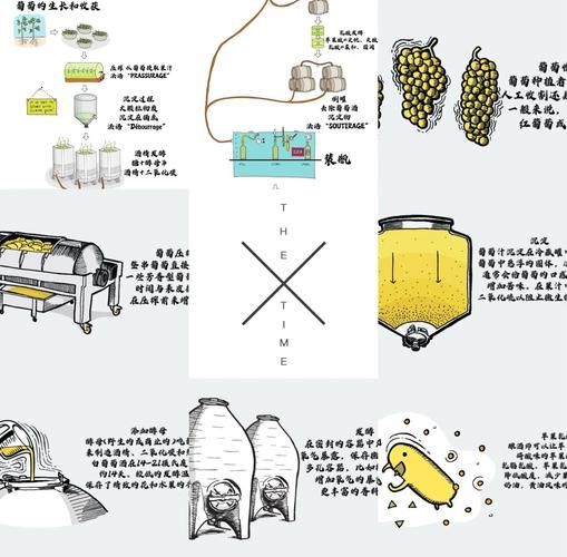 葡萄酒怎样制作_自酿葡萄酒步骤详解-第1张图片-山城妙识