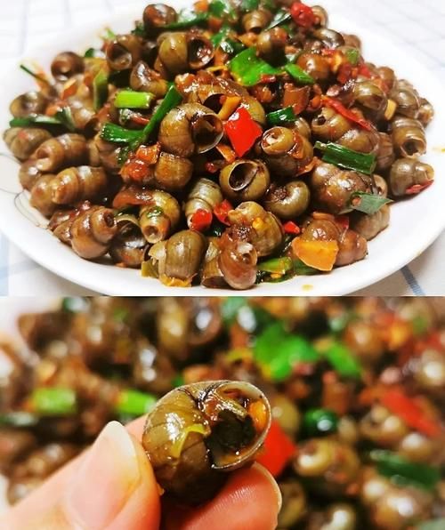 螺丝怎么炒好吃_螺丝的做法大全家常-第1张图片-山城妙识 螺丝怎么炒好吃_螺丝的做法大全家常-第1张图片-山城妙识