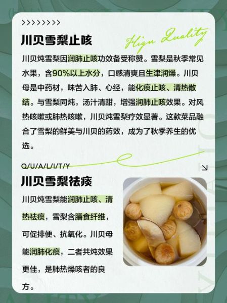 雪梨川贝的功效_川贝炖雪梨怎么做-第1张图片-山城妙识 雪梨川贝的功效_川贝炖雪梨怎么做-第1张图片-山城妙识