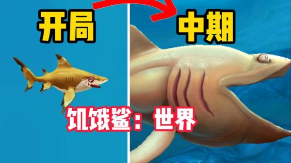 鲨鱼属于鱼类吗_鲨鱼是不是哺乳动物-第3张图片-山城妙识 鲨鱼属于鱼类吗_鲨鱼是不是哺乳动物-第3张图片-山城妙识