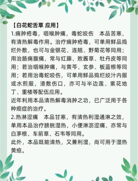 蛇舌草泡水喝的功效_长期喝有副作用吗-第1张图片-山城妙识