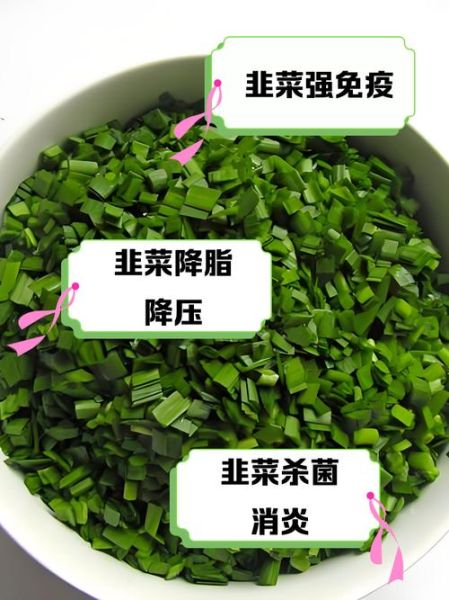 韭菜的营养价值有哪些_韭菜的功效与作用-第3张图片-山城妙识