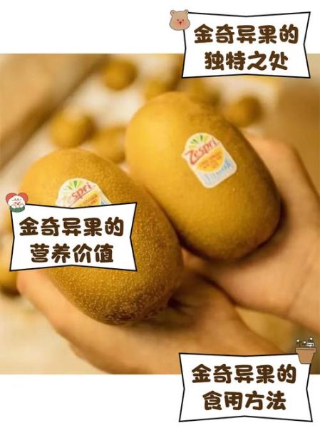 奇异果vip怎么开通_奇异果vip和黄金会员区别-第2张图片-山城妙识