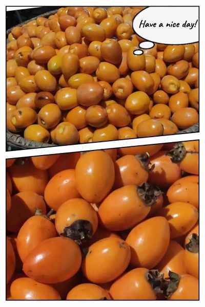 野柿子的功效与作用_野柿子能降血糖吗-第1张图片-山城妙识