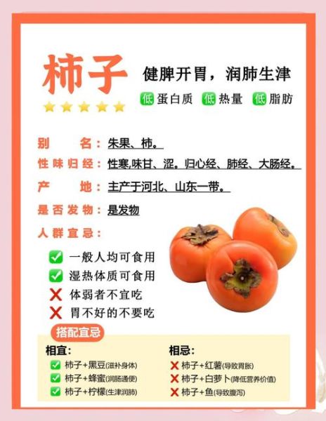 野柿子的功效与作用_野柿子能降血糖吗-第3张图片-山城妙识