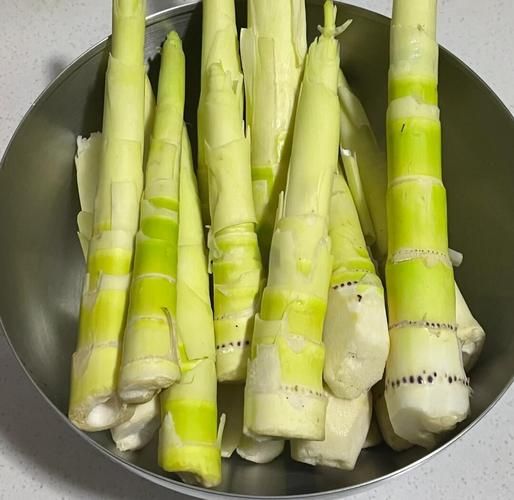 鲜竹笋怎么炒才不涩_竹笋炒之前要焯水吗-第1张图片-山城妙识