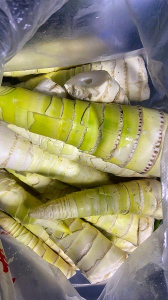 鲜竹笋怎么炒才不涩_竹笋炒之前要焯水吗-第3张图片-山城妙识