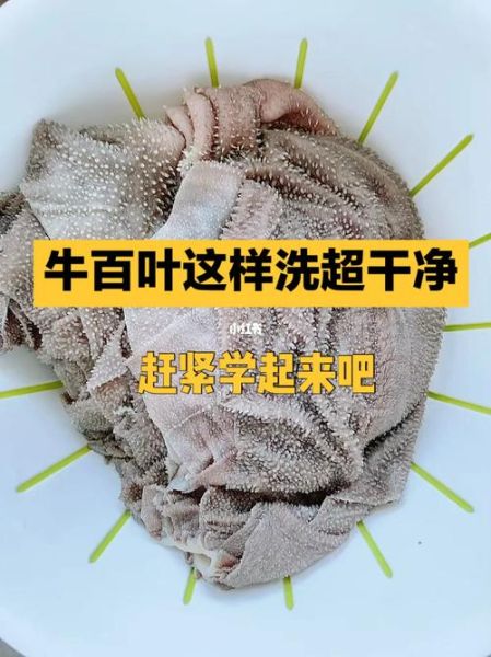 牛百叶怎么清洗_牛百叶清洗最快的方法-第1张图片-山城妙识