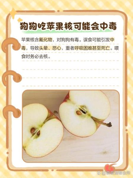 为什么苹果核不能吃_哪些食物不能一起吃-第3张图片-山城妙识