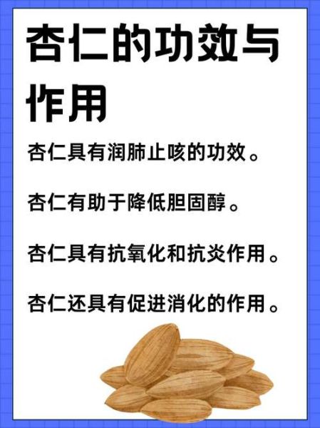 熟杏仁的功效与作用及禁忌_熟杏仁吃多了会上火吗-第1张图片-山城妙识 熟杏仁的功效与作用及禁忌_熟杏仁吃多了会上火吗-第1张图片-山城妙识