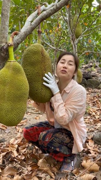 菠萝菠萝蜜视频在线观看高清3_如何免费看-第1张图片-山城妙识 菠萝菠萝蜜视频在线观看高清3_如何免费看-第1张图片-山城妙识