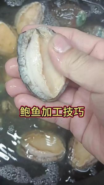 鲍鱼怎么清洗_鲍鱼内脏怎么处理-第3张图片-山城妙识 鲍鱼怎么清洗_鲍鱼内脏怎么处理-第3张图片-山城妙识