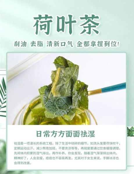 薄荷叶茶的功效与作用_薄荷叶茶可以天天喝吗-第3张图片-山城妙识