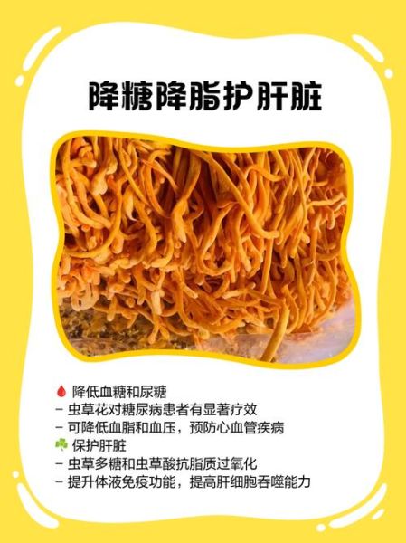 虫草花的功效与作用_孕妇可以吃吗-第3张图片-山城妙识 虫草花的功效与作用_孕妇可以吃吗-第3张图片-山城妙识
