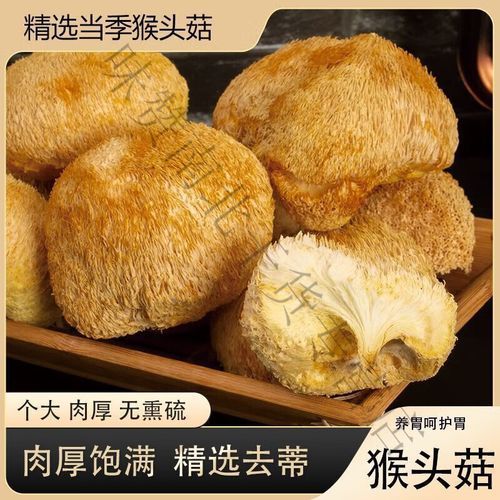 长白山猴头菇粉多少钱一斤_怎么选才不吃亏-第1张图片-山城妙识