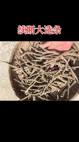 茯苓多少钱一斤_茯苓价格影响因素-第1张图片-山城妙识