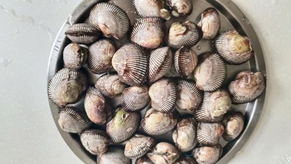 麻蛤怎么清洗_麻蛤怎么做好吃-第2张图片-山城妙识 麻蛤怎么清洗_麻蛤怎么做好吃-第2张图片-山城妙识